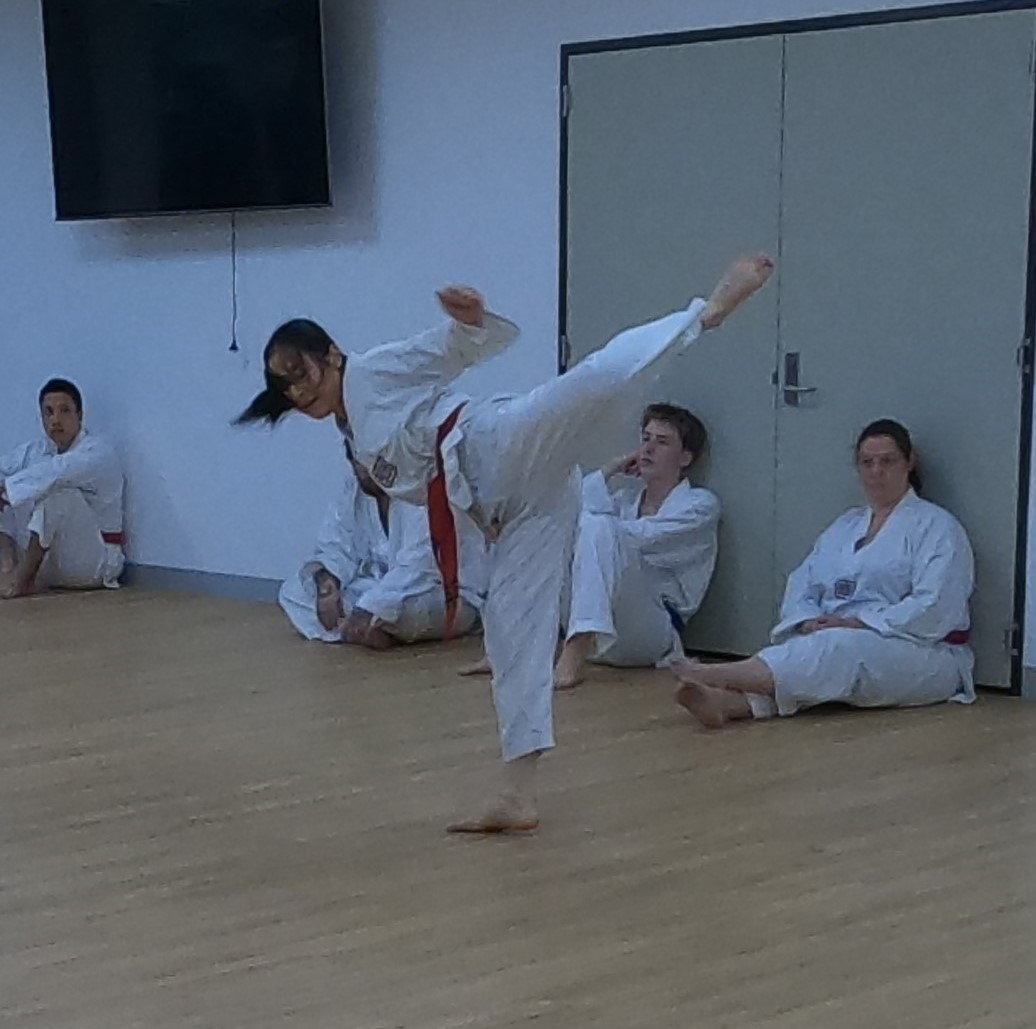 Taekwondo Classes | NO'S TAEKWONDO